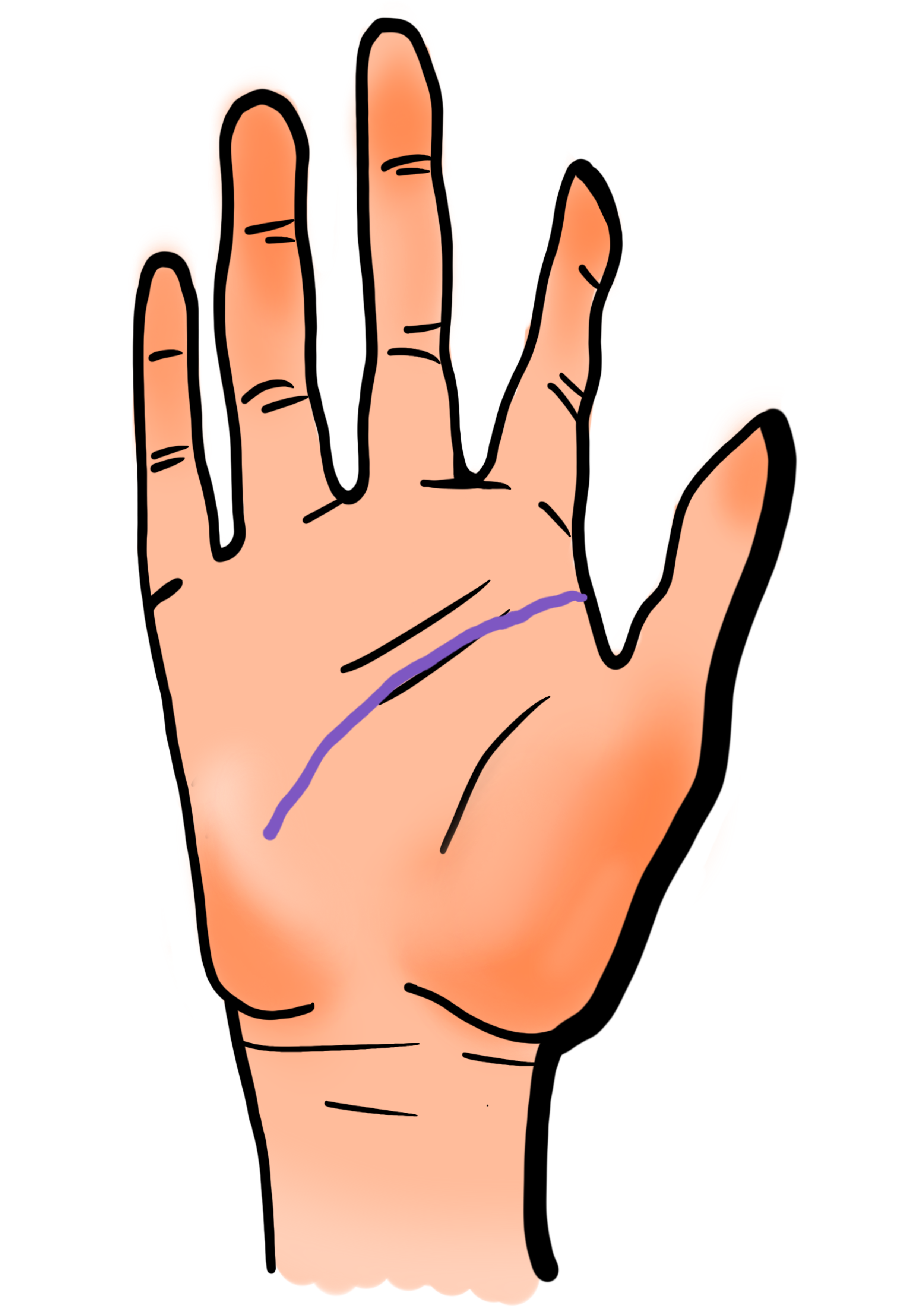 Head Line in Palmistry